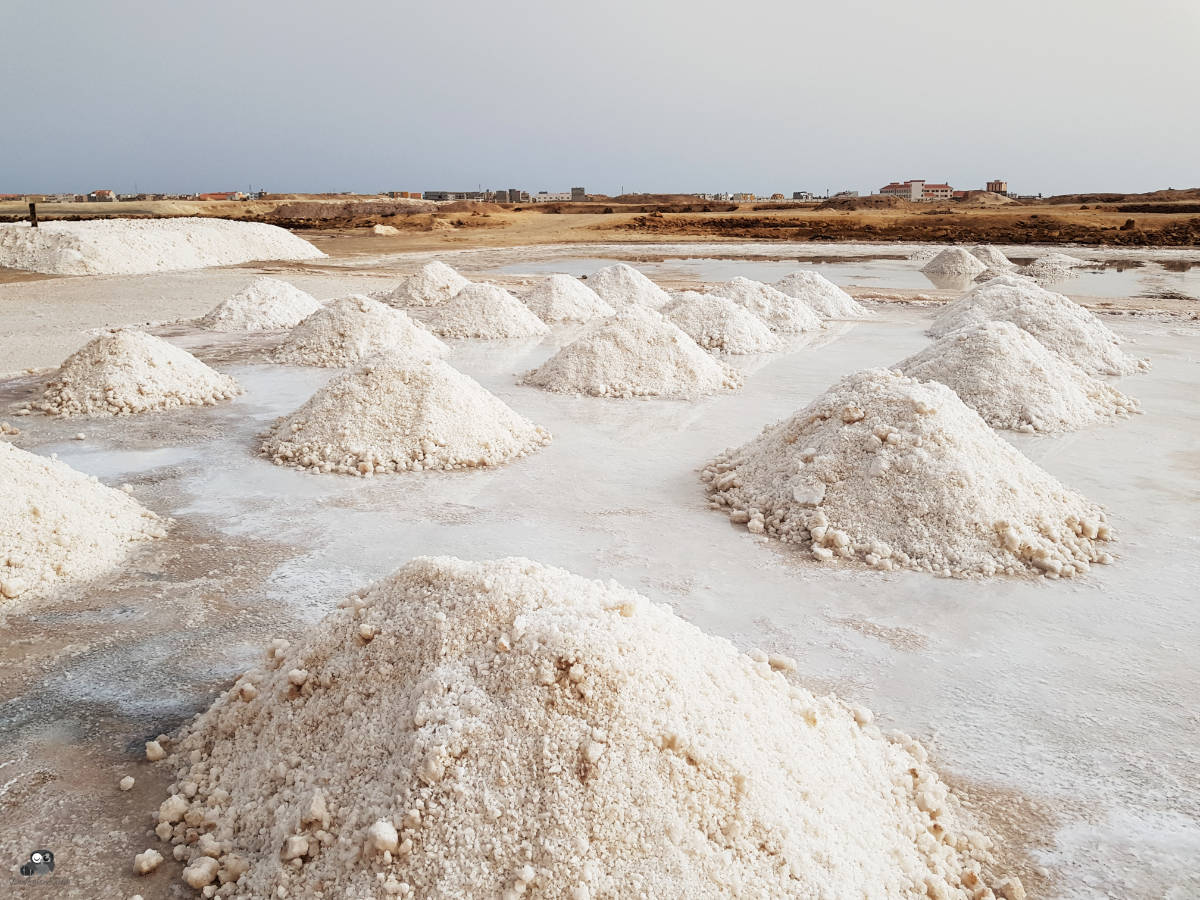 12 Top Sehenswürdigkeiten auf Sal | DieReiseEule